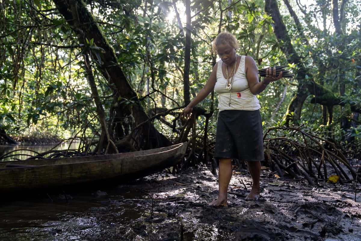 Nectar of change | Save the Children International