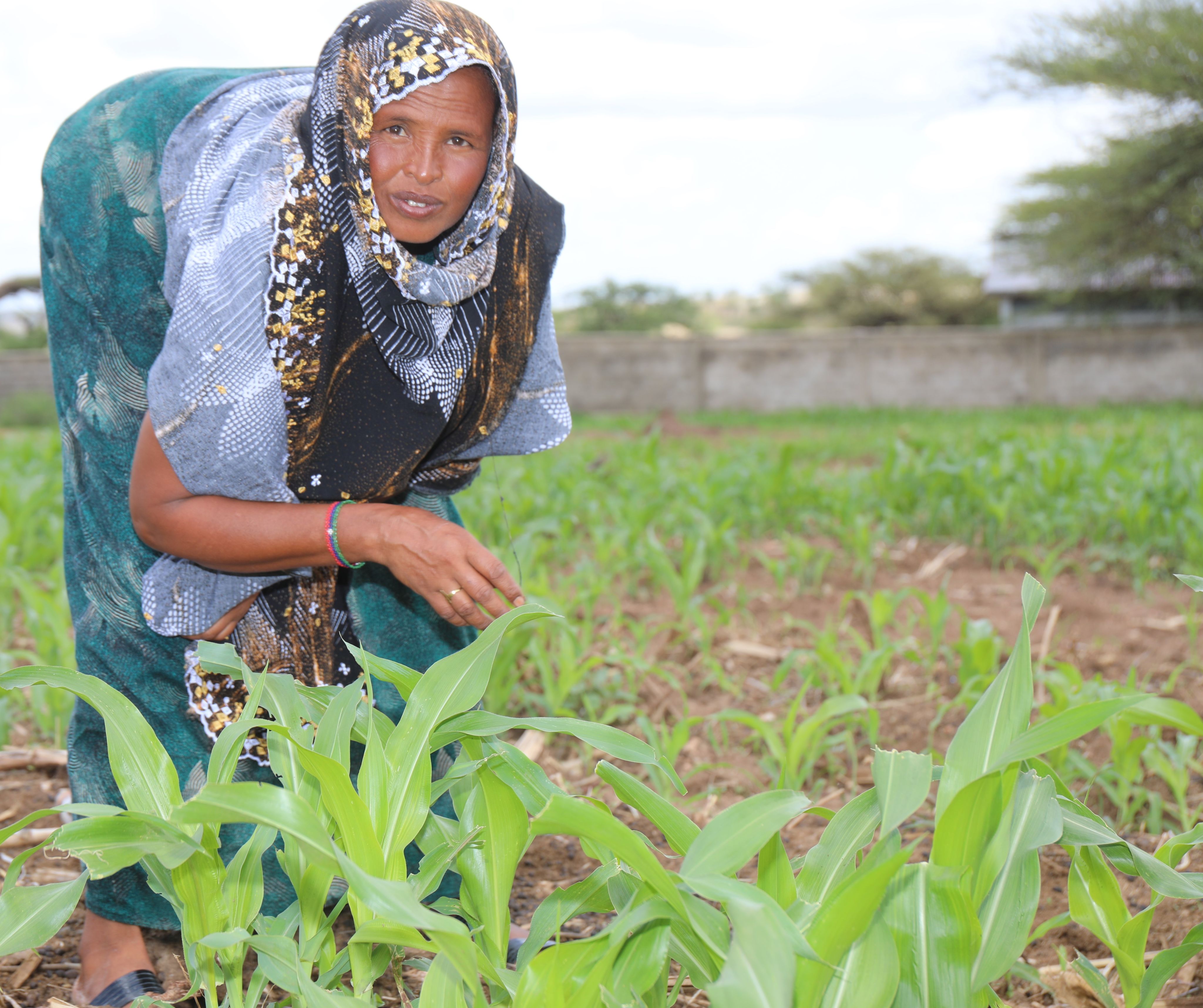 OUR IMPACT IN 2024 | Save the Children International