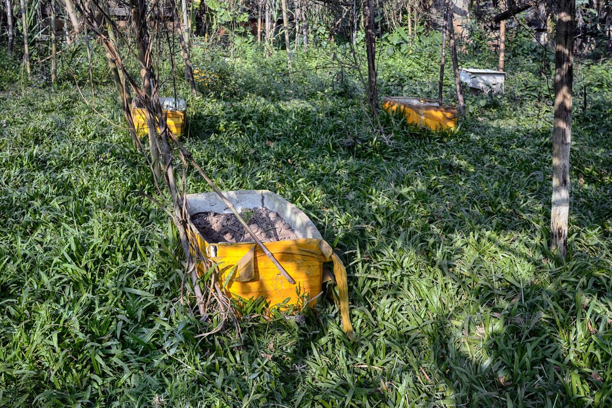 The women creating a sustainable future in Bangladesh | Save the ...
