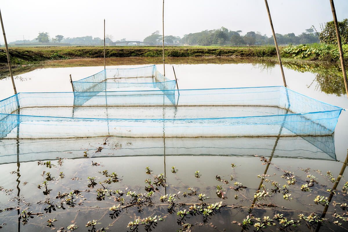 The women creating a sustainable future in Bangladesh | Save the ...